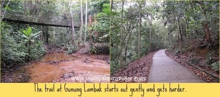 Gunung Lambak: A deceptively tough climb to the top | FMT