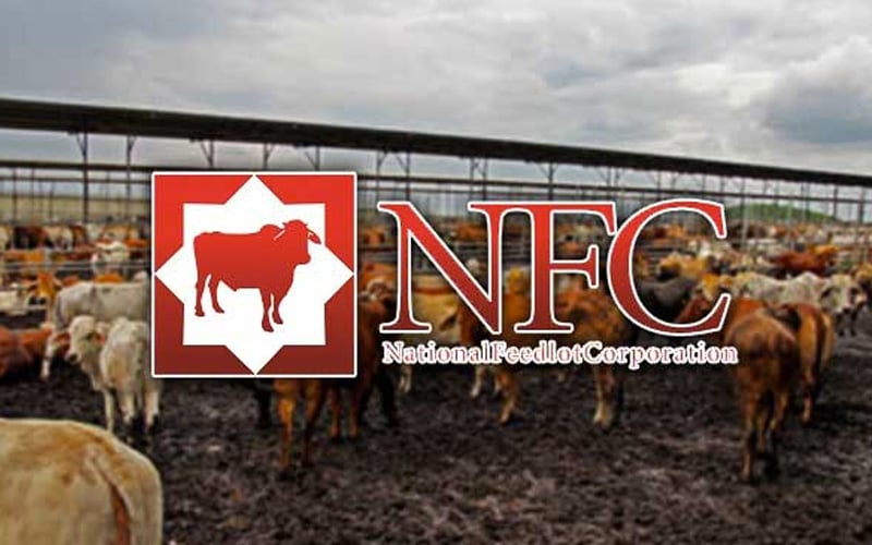 Court gives govt, NFC ‘final chance’ to settle suit | FMT