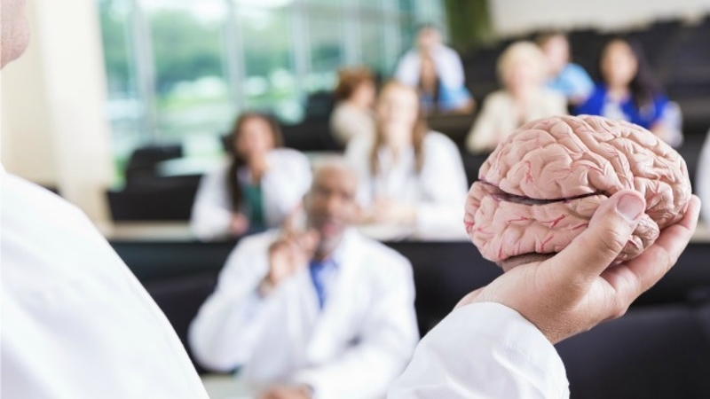 Scanner to tackle brain disease early coming soon, say researchers ...