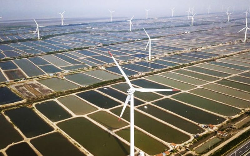 Oil giant Saudi Arabia set to build first wind-power plant | FMT