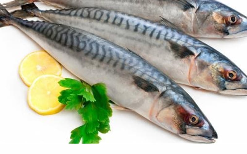 Wow… Ikan sardin jadikan otot lebih ‘solid’ | FMT