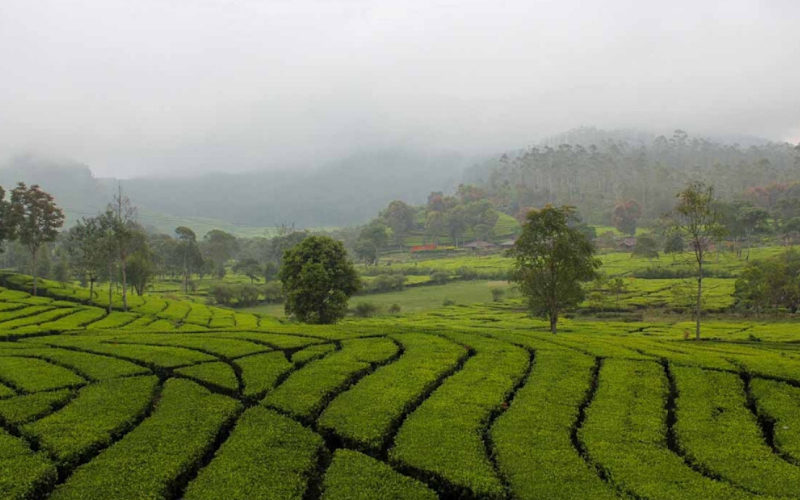 Bandung: A beautiful getaway for the whole family | Free Malaysia Today ...