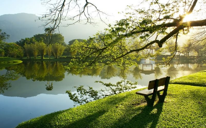 5 things to do in Taiping, Perak | FMT