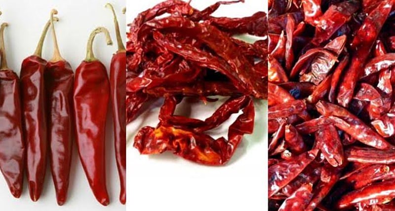 Fakta atau mitos biji cili boleh jadi punca sakit apendiks | Free ...