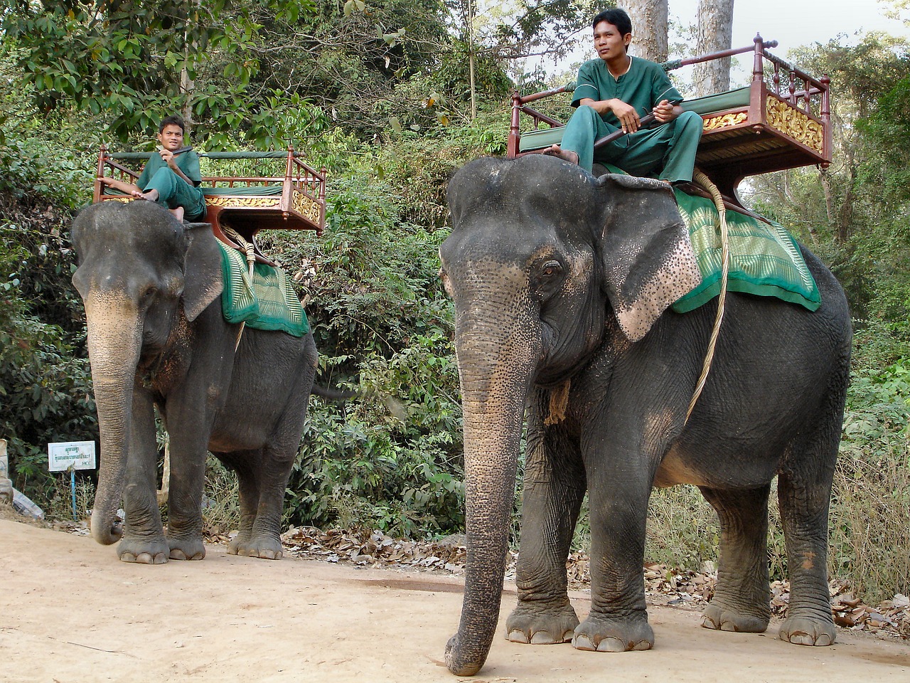 Cambodia to ban elephant rides at Angkor temples early next year | FMT