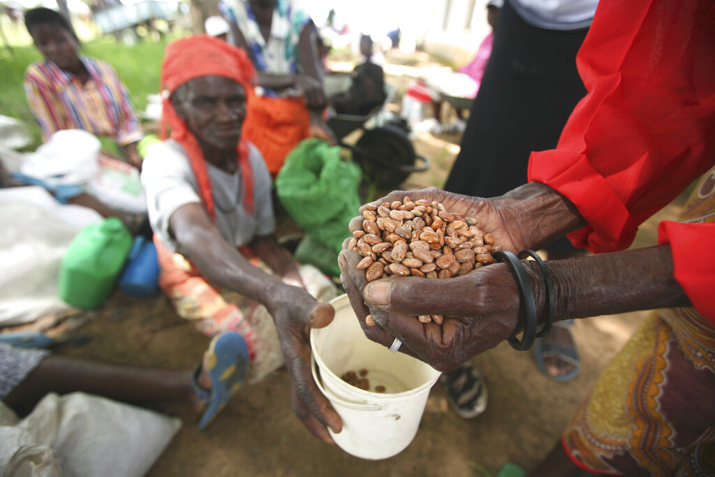 UN food chief urges billionaires to step up to help world’s starving | FMT