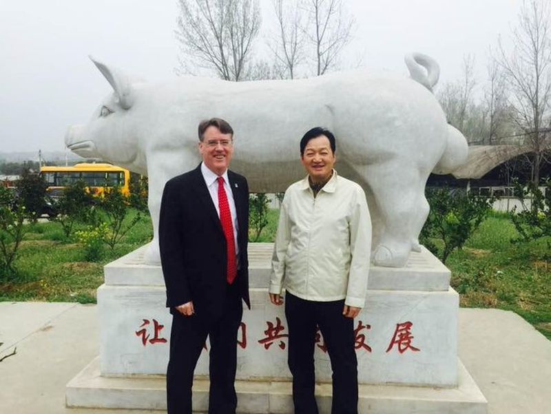 This pig farmer is the world’s fastest-rising billionaire | FMT