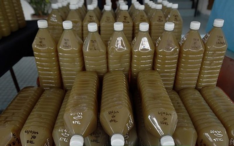 Bawa masuk air ketum ke Singapura, 2 rakyat Malaysia ditahan | FMT