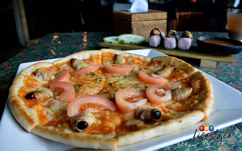 Sabah’s traditional sago grub now a popular delicacy | Free Malaysia ...