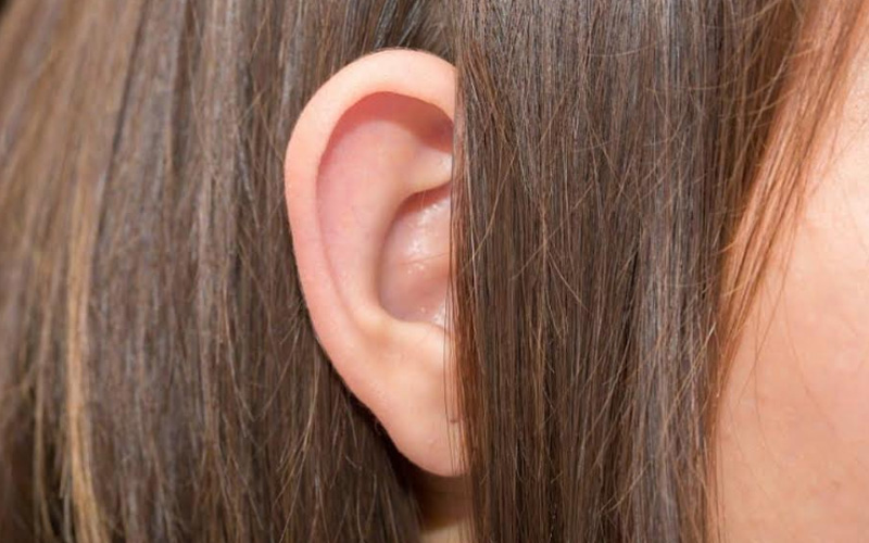 Telinga capang maksud degil, bagaimana ia boleh terbentuk? | FMT