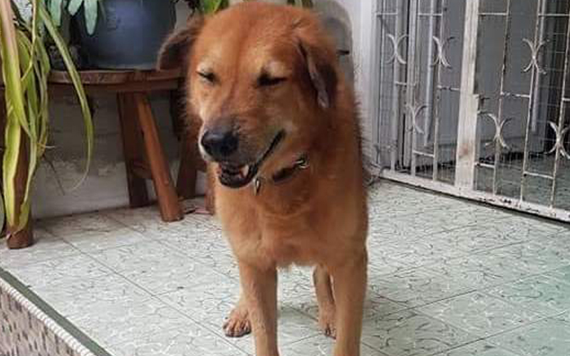 Marco: From sick and abused to beautiful and loved | FMT