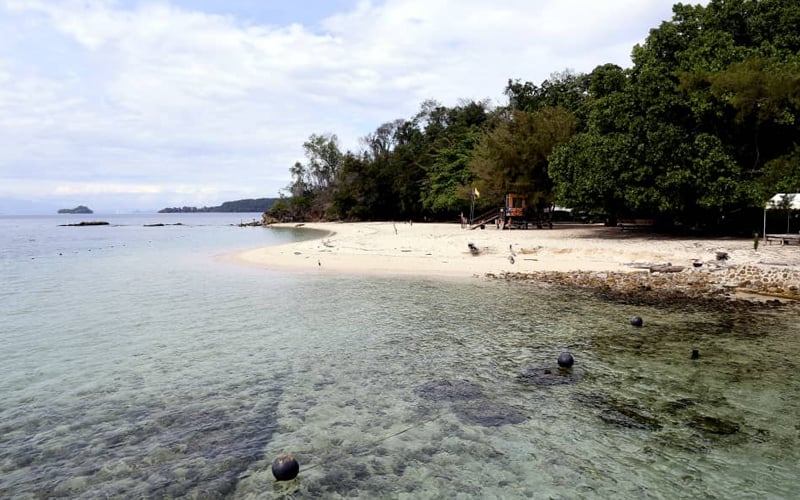 Only 100 visitors a day allowed at all Sabah parks | FMT