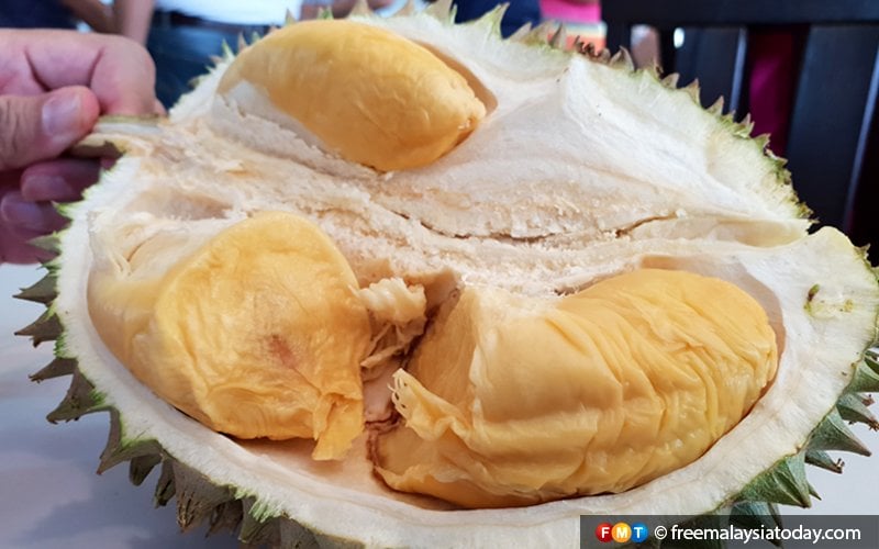 The King of Fruit: Facts and myths of the durian revealed | FMT