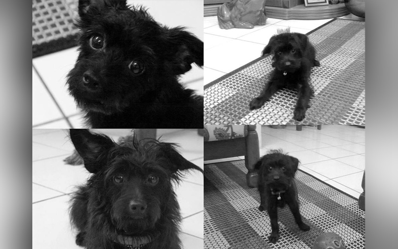 Meet Keshu, the petite but muscular hunk | FMT