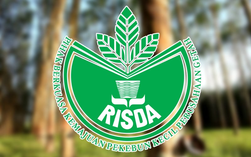 Clear the air on RM15 mil for Sabah land deal, Risda told | FMT