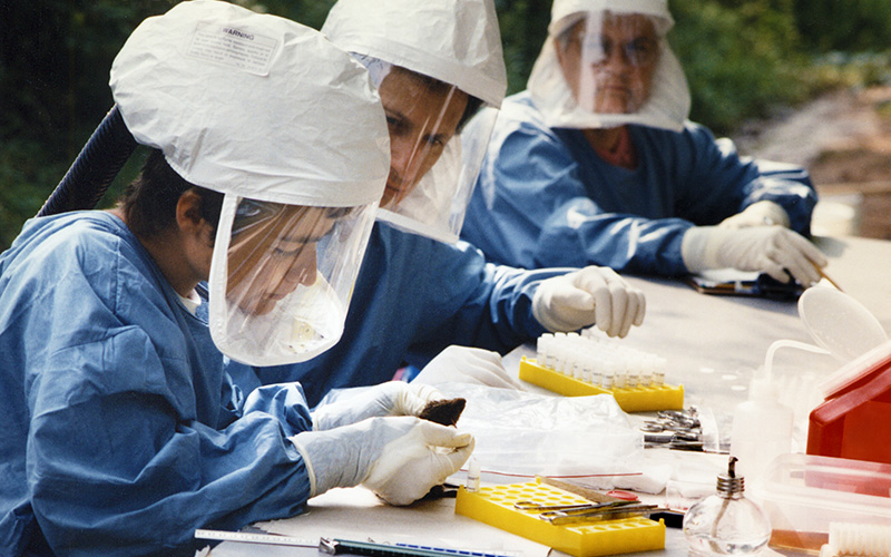 Study shows insect spray chemical can kill coronavirus | FMT