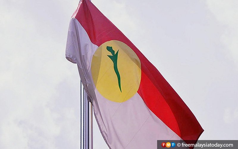 Umno stands to win big if Anwar achieves plan, say PH insiders ...