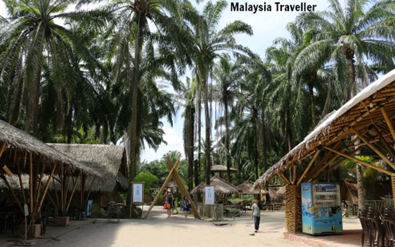 Tadom Hill Resort: Super glamping within an hour of KL | FMT