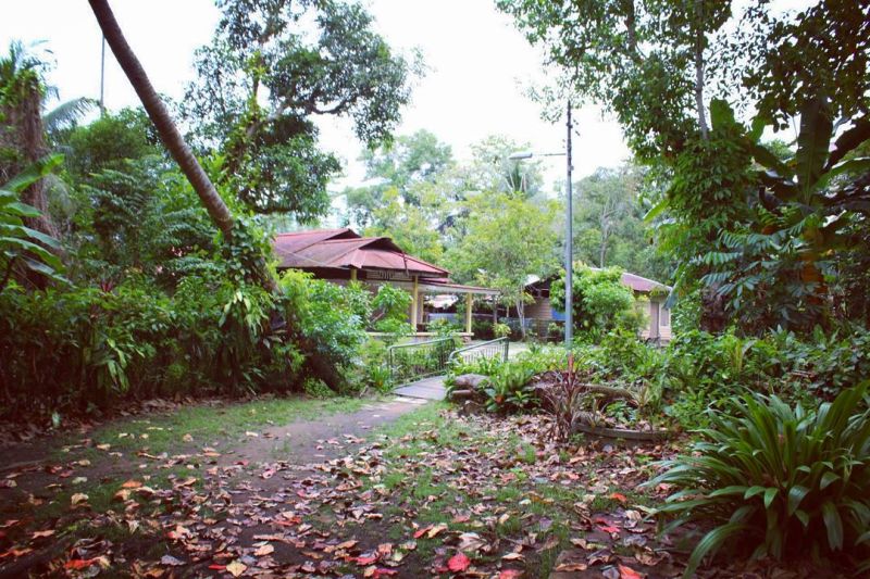 Singapore’s last kampung delivers nostalgia that fuels tourism | FMT