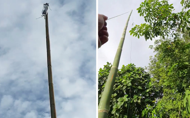 Villagers build their own hotspot towers for internet access | FMT