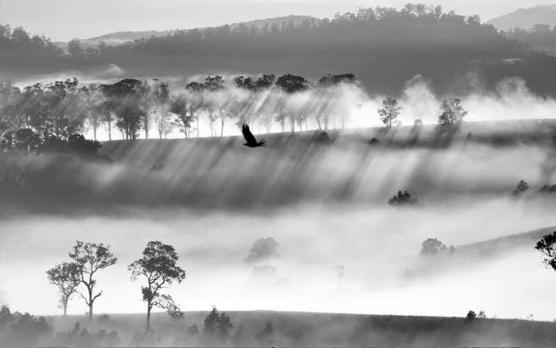 Malaysian pixman believes in God’s ‘Glen plan’ | FMT