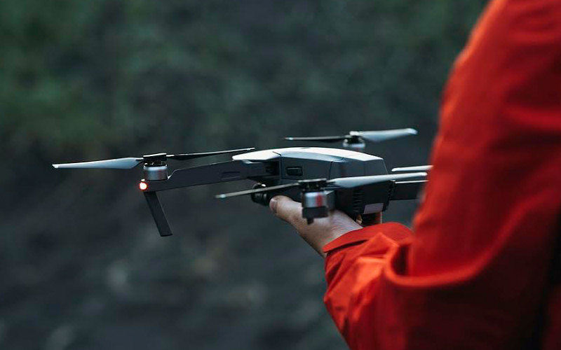 Malaysians turn pineapple waste into disposable drone parts | FMT