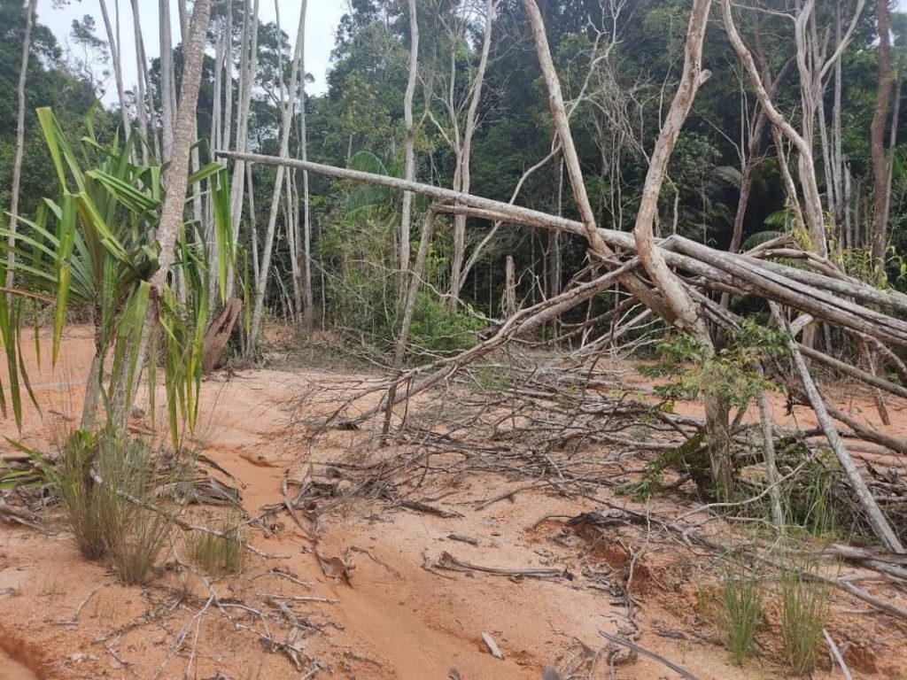 Pantai Teluk Akuan bertukar ‘merah’ tempias aktiviti Hutan Simpan ...