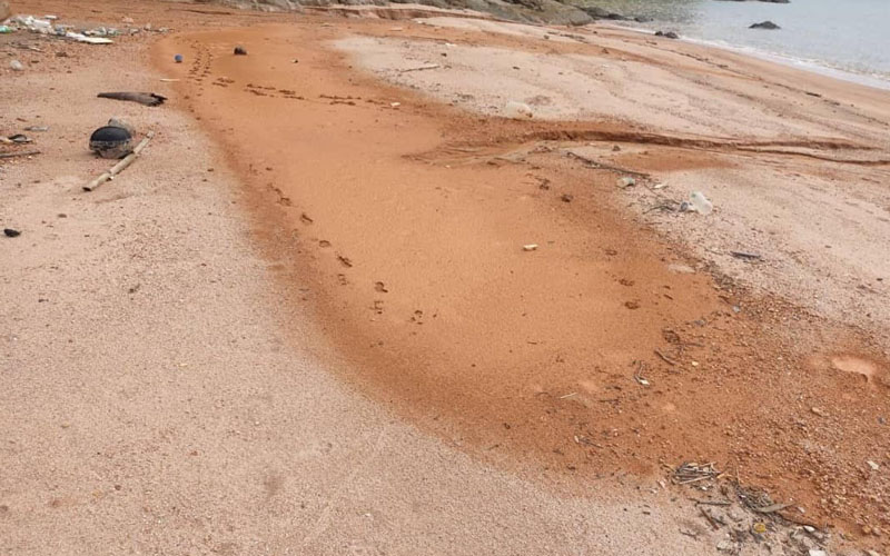 Pantai Teluk Akuan bertukar ‘merah’ tempias aktiviti Hutan Simpan ...