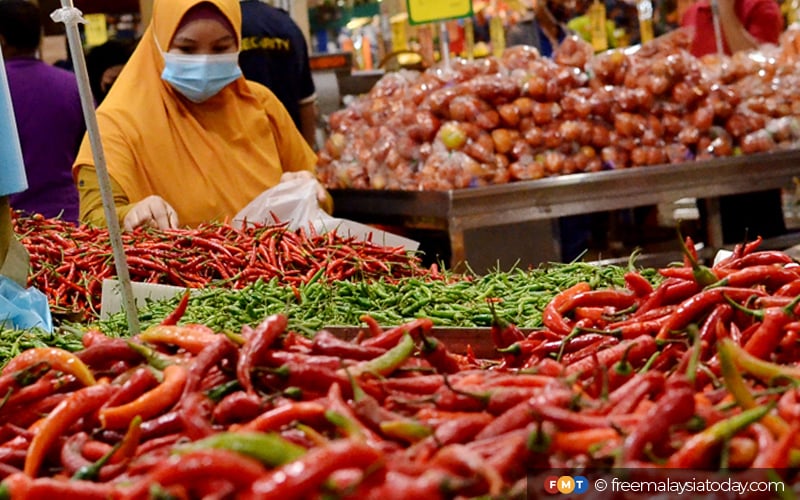 Changes to ‘chilli’ weather in Camerons bring down prices | FMT