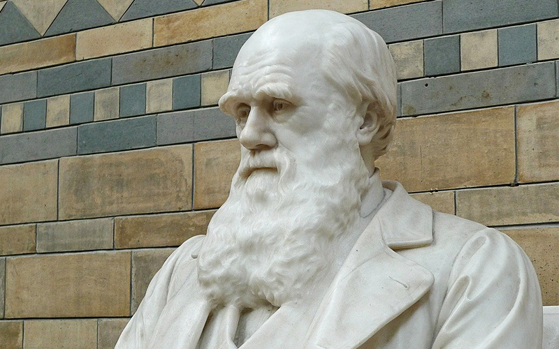 5 things you never knew about Charles Darwin | FMT