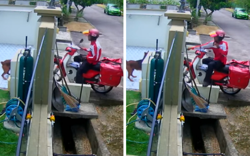 Postman apologises, dog owner to withdraw slingshot complaint | FMT