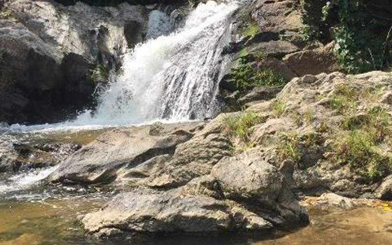 Go with the flow at Jeram Kedah Waterfall | FMT