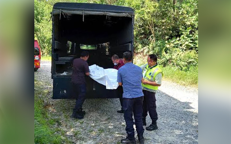 Warga emas maut dihempap dahan pokok di Penampang | Free Malaysia Today (FMT)