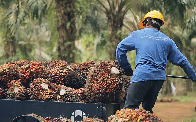 IOI Corp gets analysts’ nod despite challenges | FMT