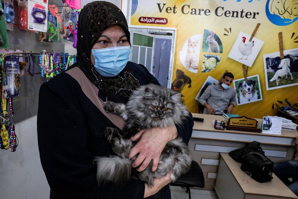 Palestinians tend to shell-shocked pets in Gaza | Free Malaysia Today (FMT)