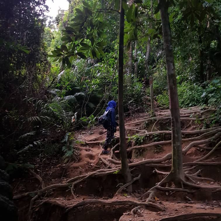 Gunung Datuk, the jewel of Negeri Sembilan | FMT