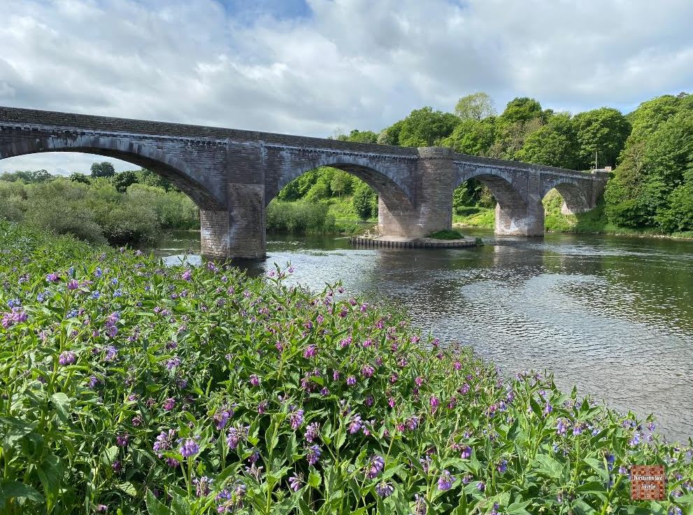 Norham, the once most dangerous place in England | Free Malaysia Today ...