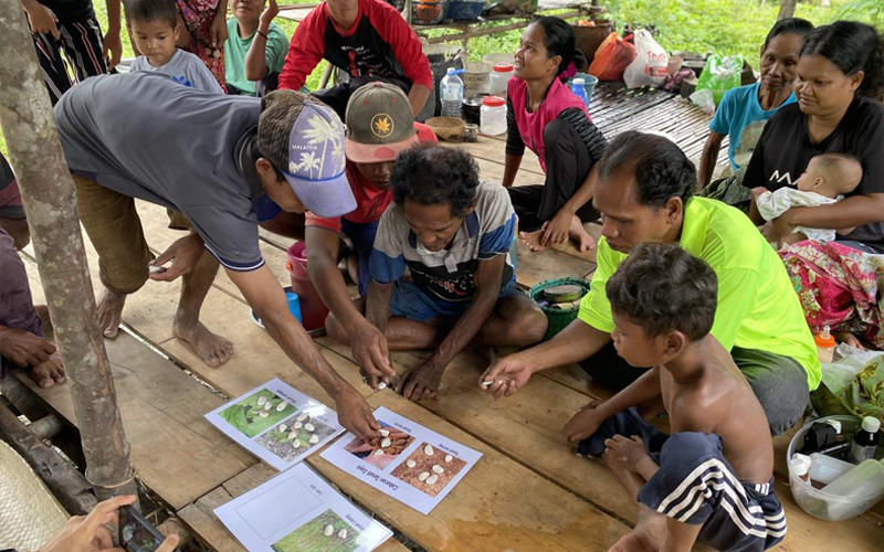 NGO’s farming project a lifeline for underprivileged Orang Asli | FMT