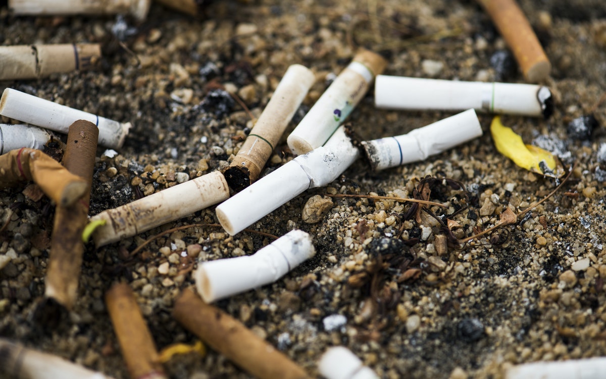 BeachBot is cleaning the beaches of ciggie butts | FMT
