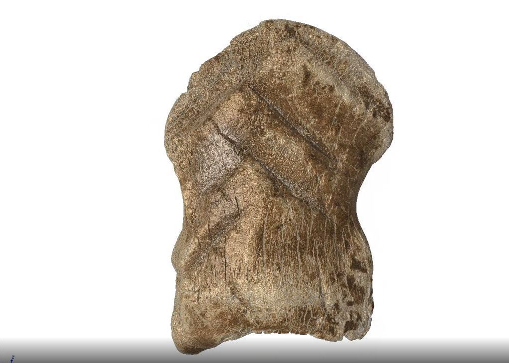 Ancient bone carving suggests Neanderthals left a more enduring legacy ...