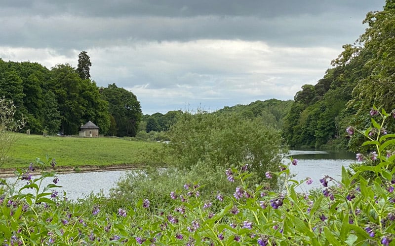 Twizel Castle walk, a journey back in time | Free Malaysia Today (FMT)