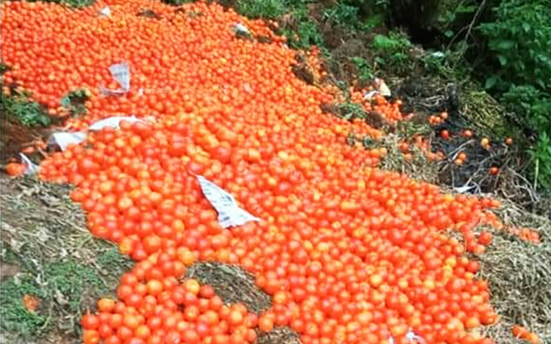 Vegetables go to waste as farmers wilt under EMCO | FMT