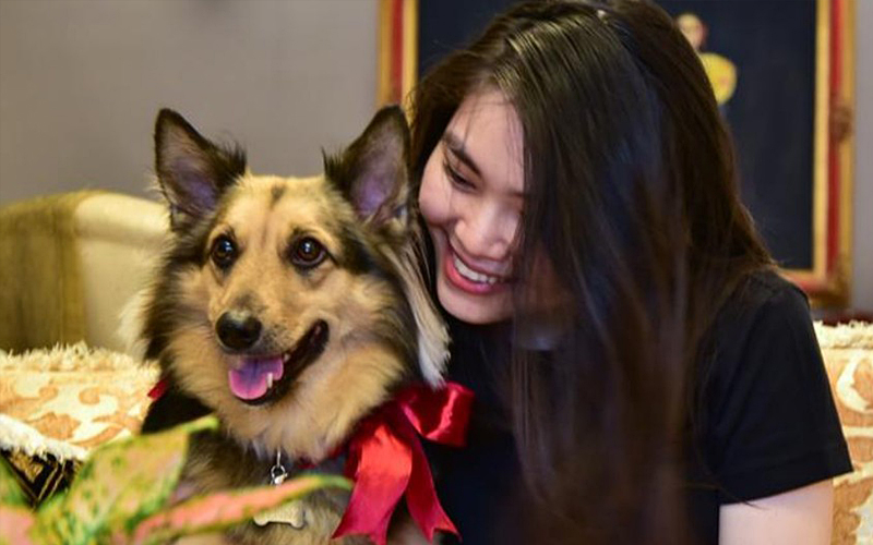 Ten ten ten! Meet Tenna, Ashley’s birthday buddy | Free Malaysia Today ...
