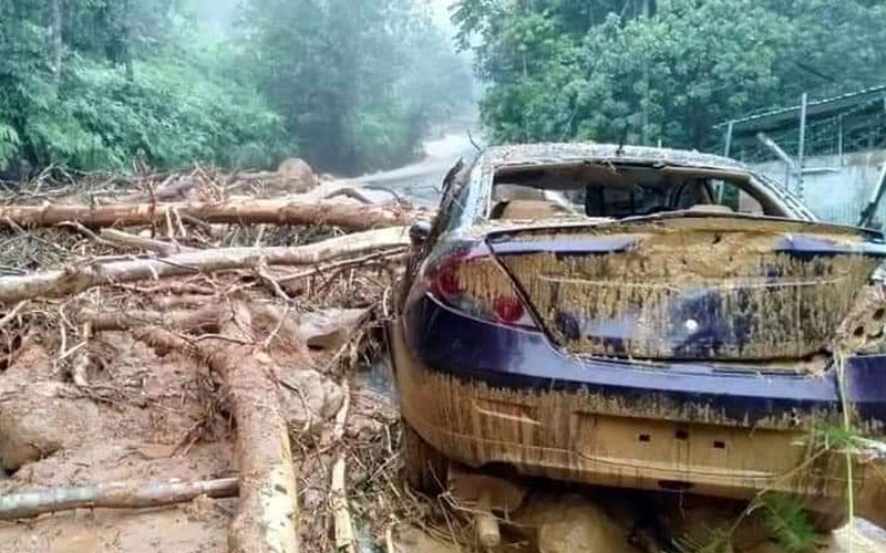 Catastrophic floods in Yan caused by land clearing, says activist | FMT