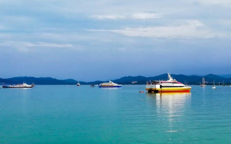 Dolphin sightings in Kuala Perlis not unusual, says fisheries dept | FMT