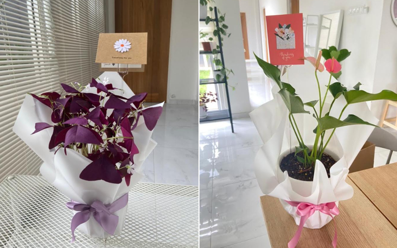 Minat bertukar kerjaya, bekas wartawan labur RM15,000 jadi usahawan ...