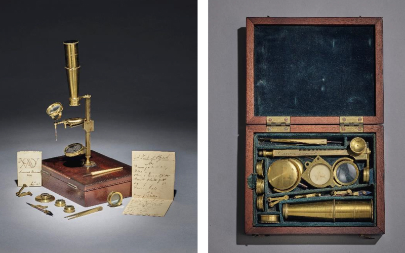 Darwin family microscope goes under the hammer | Free Malaysia Today (FMT)