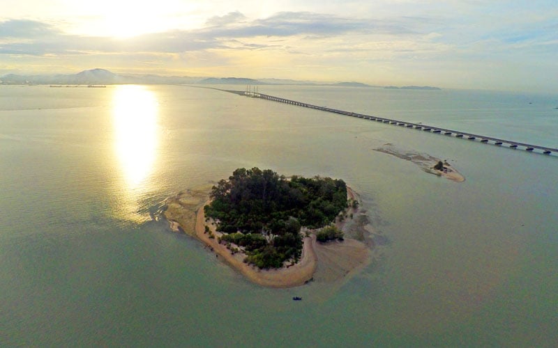 Man-made island off Penang bridge to be made marine sanctuary | FMT