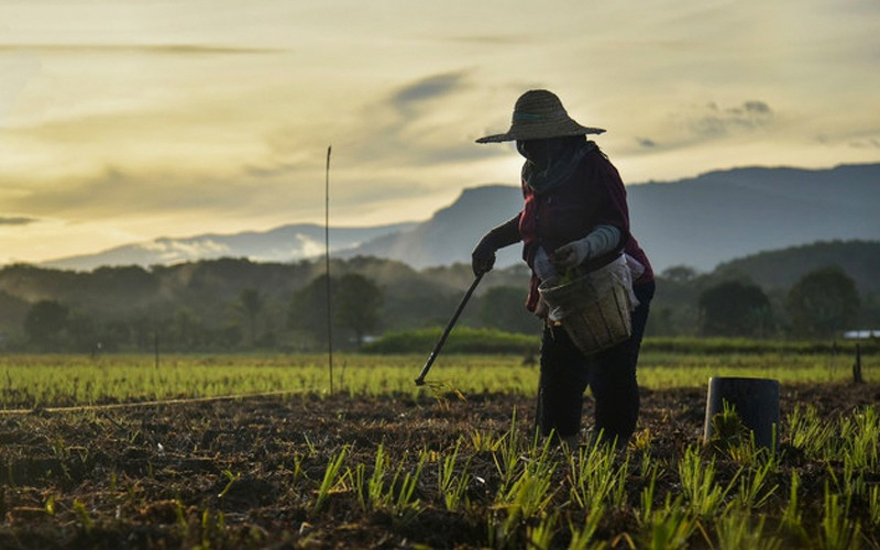 Baja nano antara kajian kurangkan kos hasil produk tani | FMT