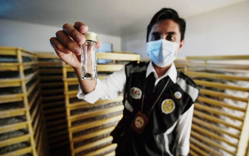 Angkara tahi tikus, kilang sos dan kicap diarah tutup | FMT